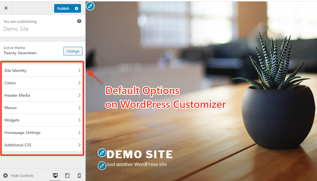 How to Use WordPress Customizer? - WordPress Download Manager