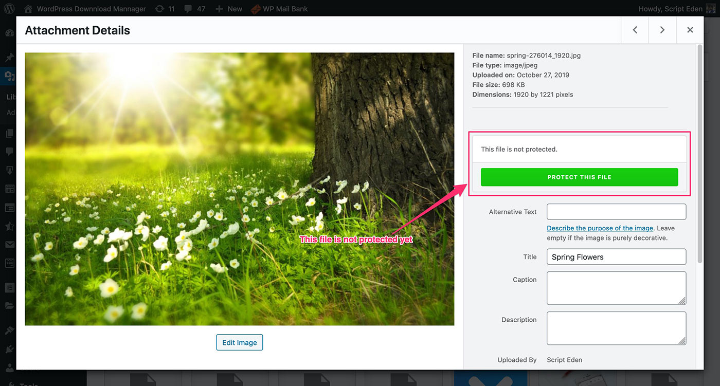 How To Protect WordPress Media Library Files? - WordPress Download Manager