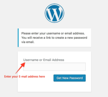 9 Common WordPress Errors and How to Fix Them?