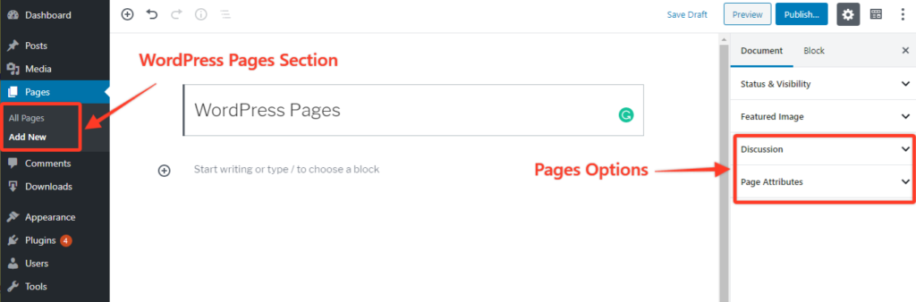 What Is The Difference Between Posts and Pages In WordPress?