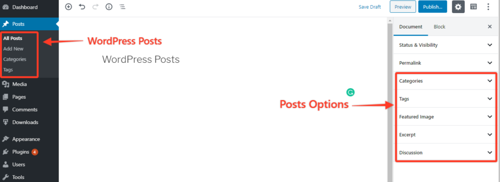 What Is The Difference Between Posts and Pages In WordPress?