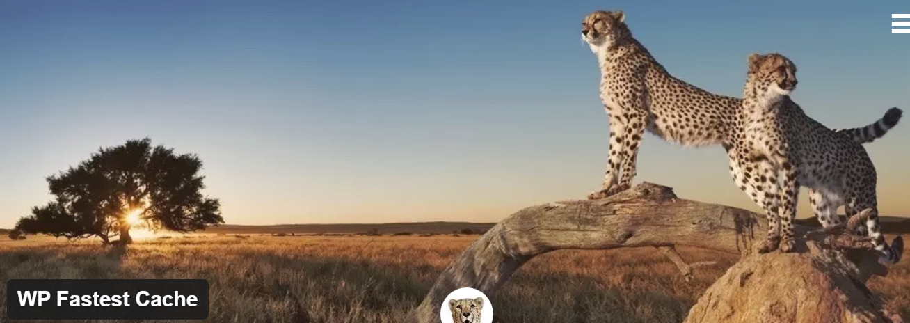 Top 7 Best WordPress Caching Plugins For Better Performance